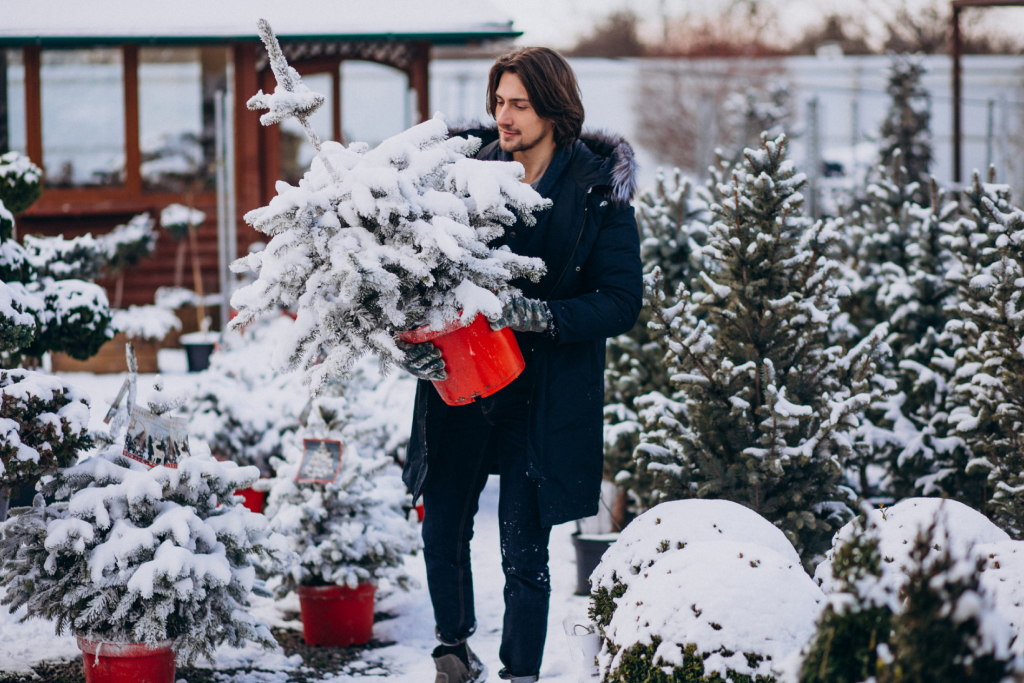 Winter DIY Landscaping Ideas to Transform Your Yard